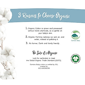 Cambria Baby 100% Organic Cotton Jersey Fitted Bassinet Sheets for Boy. 3 Pk Adapts to Oval, Hourglass & Rectangle Shaped Bassinet Pads. Fits Halo, Snoo, Graco, and Most other Standard Size Bassinets.