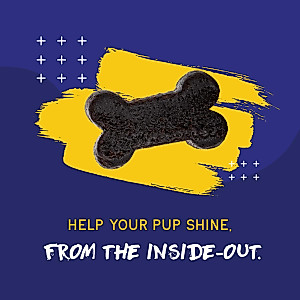 PupGrade Skin & Coat Chews - Omega-3 Coat + Shed Care + Allergy Defense - Soft, Chewable Supplement with Natural Fish Oils for Dogs - No Wheat, Corn, or Grains - Meat Flavored - 60 Soft Chews