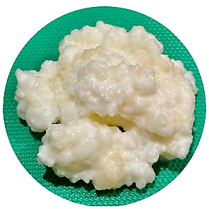 Kefir, Kefir Grains, Scoby, Milk Kefir Grains, Live Starter, Cultures, Bulgaros de Leche, Bulgarian Milk Kefir Grains, Kefir Strainer, Works w/Whole Milk, Coconut Milk, Almond Milk, Oat Milk