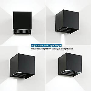 Pathson 20W Outdoor LED Wall Sconces 6000K White Light, Adjustable Aluminum Waterproof Exterior Wall Lights for Porch Garden Foyer Courtyard (Black, White Light)