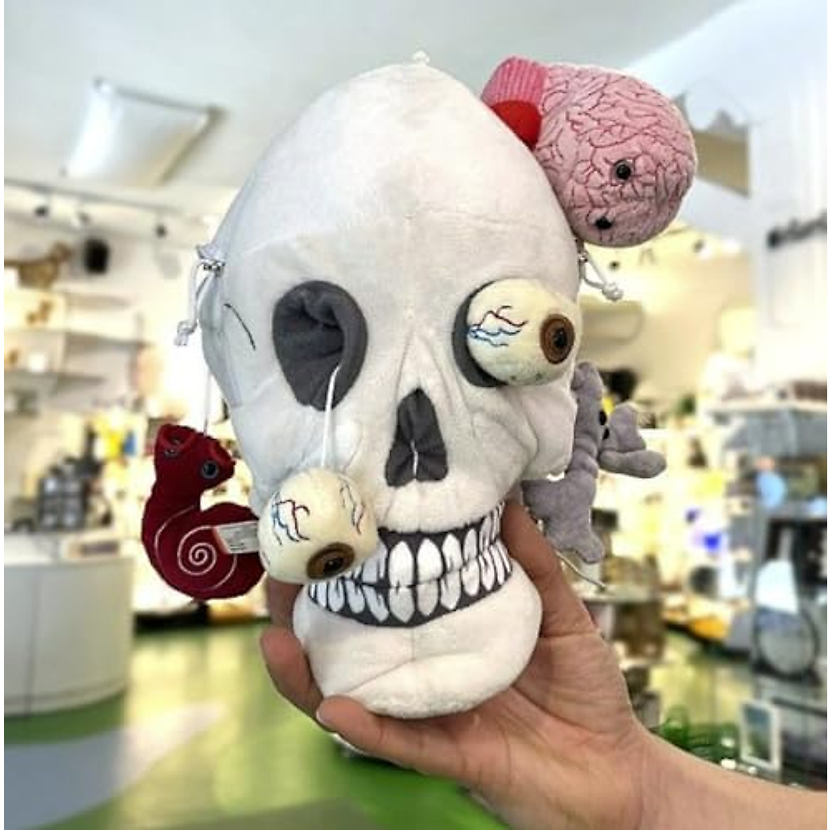 GIANTmicrobes Deluxe Skull with Hidden Organs Plush, Skull Plush, Anatomical Skull Gift, Halloween Skull Decor, Anatomy Skull, Human Skull Model Plushie, Skull Anatomy Model, Skull Pillow, Skull Toy
