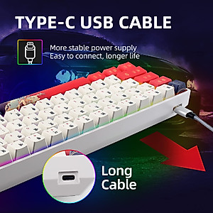 Heywood SK61 60% Mini Hot Swappable Keyboard, Wired Mechanical Gaming Keyboard, Gateron Optical Switches, RGB Backlit, N-Key Rollover for Windows/Mac (Gateron Optical Red, Phoenix)