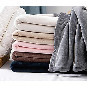EMME Velvet Fleece Twin Blanket Quality High-Density Bed Blankets for Couch Silky Soft Twin Blankets Premium Cozy Fleece Blankets and Throws Lightweight and Warm for All Season (Grey, 60" x 80")