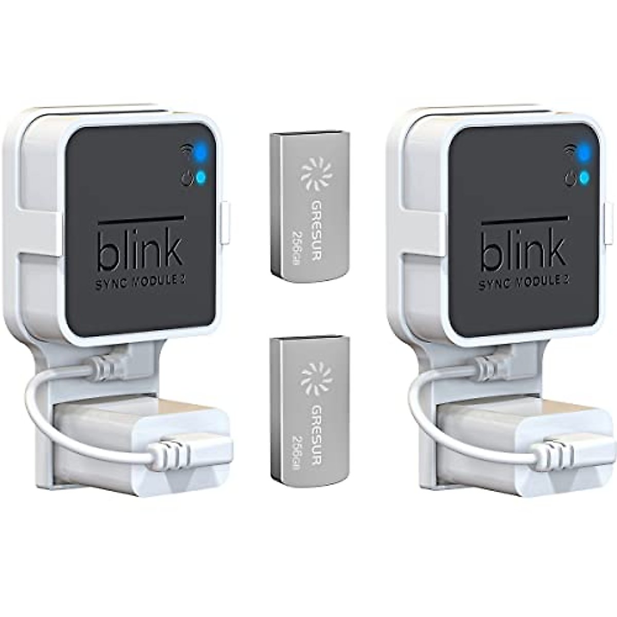 256GB Blink USB Flash Drive for Local Video Storage with The Blink Sync Module 2 Mount (Blink Add-On Sync Module 2 is NOT Included),2Pack