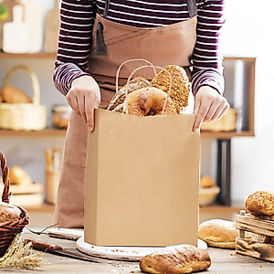 METRONIC Paper Gift Bags 10x5x13 50Pcs, Brown Kraft Paper Bags Medium Size with Handles, Gift Wrap Bags for Business, Heavy Duty Bulk Paper Shopping Bags for Clothing, Retail, Merchandise