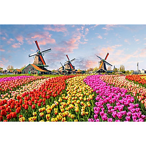VARWANEO 500 Pieces Puzzle for Adults Educational Intellectual Jigsaw Puzzle Fun Game for Men Women Kids(Dutch Windmill)