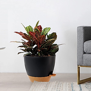 UOUZ Large Self Watering Pots, 12/10/9 Plastic Planters with High Drainage Holes and Deep Reservoir for Indoor Outdoor Garden Plants and Flowers, Black with Brown