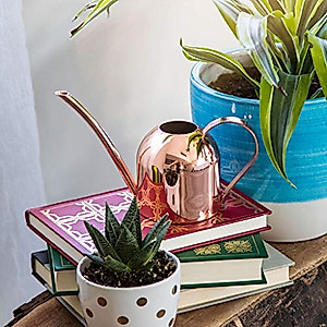 Smouldr Mini Plant Watering Can Indoor: Rose Gold Small Watering Can Helps You Water Tiny House Plants, Succulents, Bonsai or Herb Gardens - Steel Plant Waterer for Miniature Flower Pots - 15 Ounces