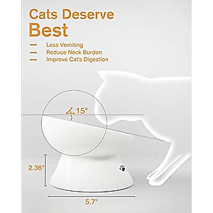 immaculife Ceramic Raised Cat Food Bowl, Slanted Cat Dish, Tilt Angle Protect Cat's Spine, Stress Free, Backflow Prevention