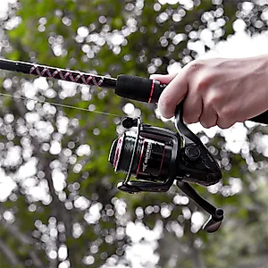 KastKing Brutus Fishing Rods, Spinning Rod 8ft -Heavy - Fast-2pcs