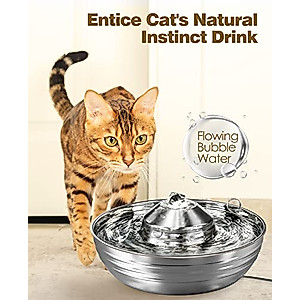 oneisall Cat Water Fountain Stainless Steel,2L/67oz Quiet Cat Fountain Water Bowl for Multiple Pets,Low Noise Water Fountain for Cats Inside
