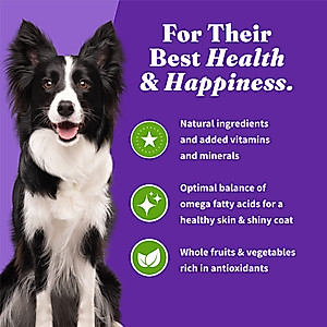 Halo Holistic Adult Dog Vegan Plant-Based Recipe with Superfoods 3.5 lb Bag