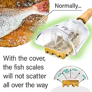 Fish Scale Remover with Box with Brass Serrated Sawtooth and Wooden Handles from Tsubame-Sanjo, Japan【Yamasan】
