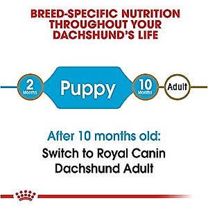 Royal Canin Breed Health Nutrition Dachshund Puppy Dry Dog Food, 2.5 lb