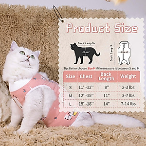 Purrpurrpets 2 Pack Cat Spay Recovery Suit Female, Breathable Cat Onesie for Cats After Surgery Female, Kitten Surgery Recovery Suit for Abdominal Wounds