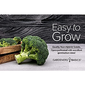 Broccoli Seeds for Planting is A Great Heirloom, Non-GMO Vegetable Variety- 1 Gram Seeds Great for Outdoor Spring, Winter, and Fall Gardening by Gardeners Basics