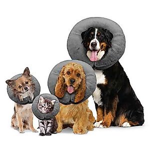 Arlee Pet Products 58412027: Poly Filled Adjustable E-Collar, Sm