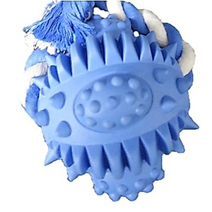 Rubber Dental Ball with Rope Dog Toy (Blue)