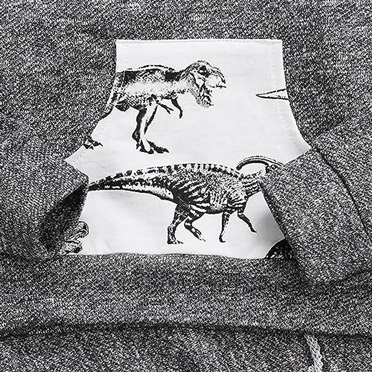 Toddler Infant Baby Boy Girls Clothes Hoodie Fall Winter Sweatsuit Pants Gender Neutral Long Sleeve Outfit Set(2-3 Years, Dinosaur)
