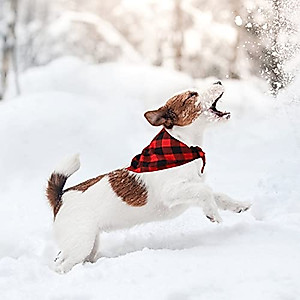 Kytely Christmas Dog Bandanas 2 Pack Winter Pet Dog Bandanas for Dogs Red White Small