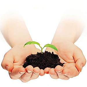 Jobe's Organics 09926 Fast Acting Fertilizer Compost Starter, 4 Pound