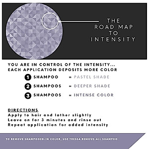 Watercolors INTENSE METALLIC Semi Permanet Color Depositing Shampoo-Sulfate & Paraben Free to Maintain & Enhance Hair Color 8 fl oz - SILVER (2 Count)