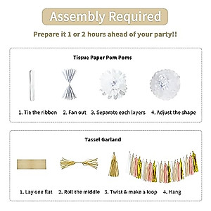 ANSOMO Retro Pink Happy Birthday Party Decorations Dusty Rose Gold Nude Blush Apricot Tan Kraft Paper Banner Balloons Rustic Boho Décor Supplies Women Girls Baby Tassel Garland