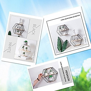 Doremy Floating Shelf,Wall Mounted Modern Simple Geometry Wood Metal Wire Hexagon Plant Flower Wall Decoration Wall Storage Shelves Display Racks Perfect for Bedroom,Living Room,Office (White)