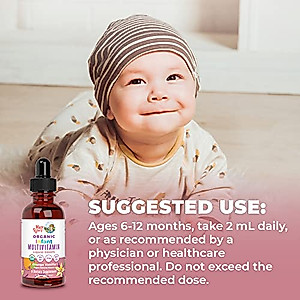 Multivitamin & Multimineral with Iron for Infants by MaryRuth's | USDA Organic | Sugar Free | Liquid Vitamins for Babies 6-12 Months | Immune Support & Overall Wellness | Vegan | Non-GMO | 2 Fl Oz
