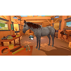 Equestrian Training (PS4)