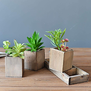 Set of 3 Fake Succulents Plants, Artificial Succulents with Rustic Style Wood Square Pots & Rectangular Tray, Desktop herb Garden Mini Faux Succulents for Home Décor