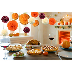 12-Piece Maroon Burgundy Orange Little Pumpkin Party Tissue Pom Poms Paper Flowers Centerpieces Fall Thanksgiving Baby Bridal Shower Wedding Birthday Party Nursery Table Wall Garden Hanging Décor