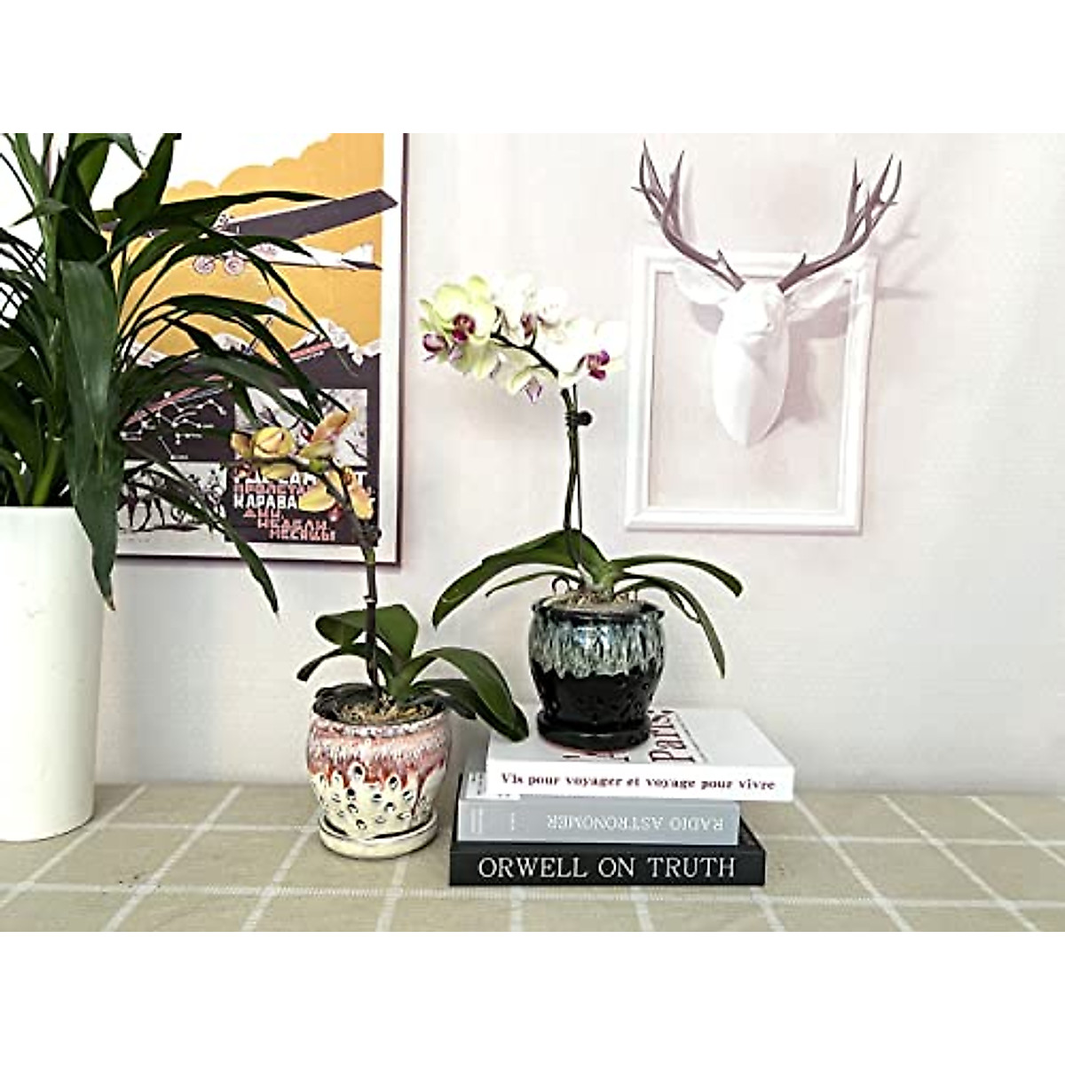 Orchid Pots with Holes 4.33 inch Ceramic Orchid Planter White and Black (Set of 2)