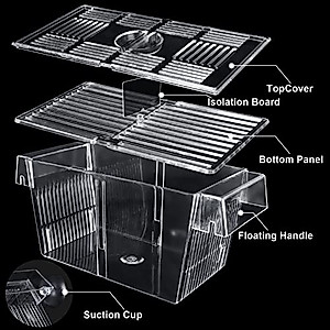 FVIEXE 4PCS Fish Breeder Box for Fish Tank, Acrylic Aquarium Fish Isolation Breeding Box with Suction Cups Acclimation Hatchery Incubator for Baby Fishes Guppy Shrimp Clownfish Betta, Medium Size