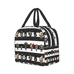 Lunch Bag Portable Insulated Lunch Tote Bag Lunch Box Bag Picnic Bag for Women Mens Boy Girl Work Office