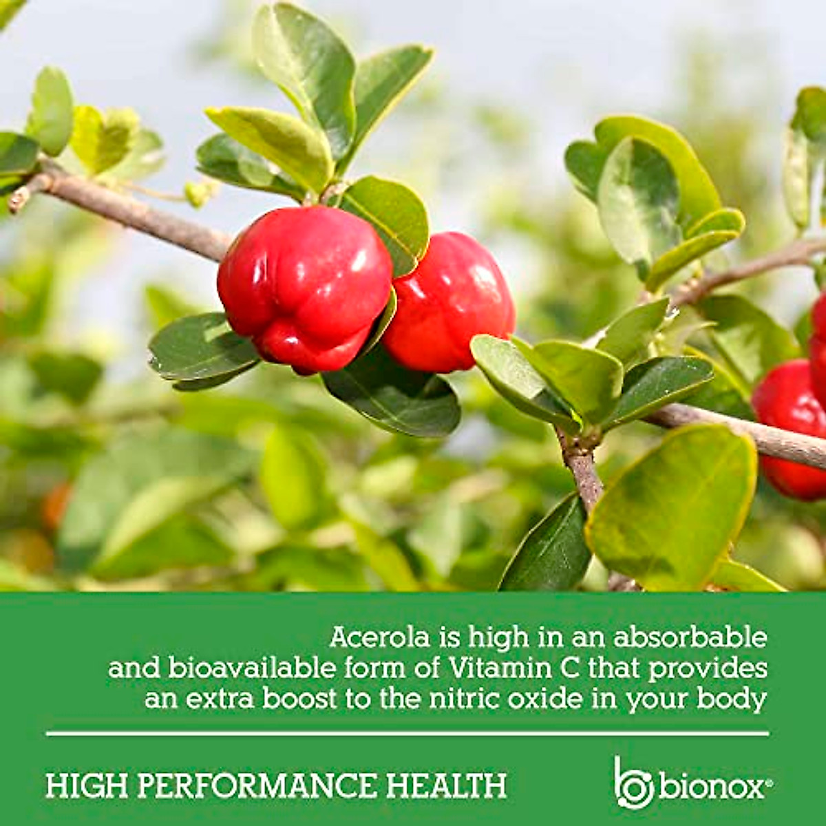 Arugula Super Cardio Greens Natural Preworkout, Cardio Support with 33 Superfoods Barley Grass, Broccoli, Moringa, Beets, Prebiotics, Probiotics, Spirulina, Powder Drink Mix, Berry 30 Days