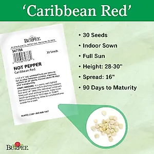 Burpee Caribbean Red Hot Pepper Seeds 30 seeds