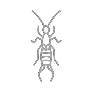 BUGGSLAYER Crawling Insect Insecticide Concentrate 8-oz. Outdoor Killer for Ants, Spiders, Mosquitoes, Ticks and Fleas.