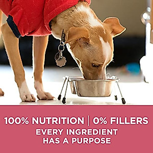 Purina ONE Natural, Sensitive Stomach Dry Dog Food, +Plus Skin & Coat Formula - 31.1 lb. Bag