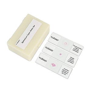 Prepared Epithelium Types Microscope Slides Set, Excellent 11pcs Specimens Representing The Major Types of Epithelium