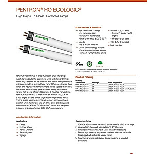 LEDVANCE FP54/850/HO/ECO 54 Watt T5 HO High Output Fluorescent Tube Light Bulb 54W 5000K (Pack of 12) Replaces F54T5 F54T5/HO F54T5/HO/850 F54W/T5/850/ECO F54T5/850/HO/ALTO FP54/850/HO/XL/ECO