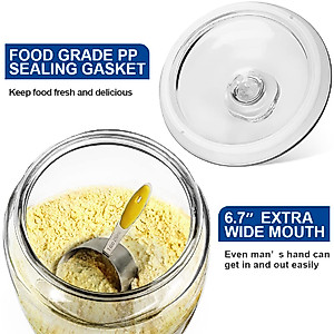 Daitouge 2.5 Gallon Glass Jars with Lids, Large Cookie Jars with Big Opening, 1 Pack Food Storage Canister for Kitchen, Great for Storage Flour, Rice, Sugar, Pasta, Candy