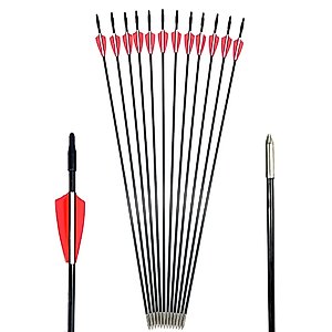 GPP Archery Beginner's First Arrows (30" Fiberglass Target Archery Arrows) - 12 Pack,Red