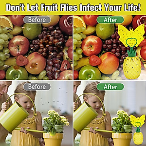 Fly Trap for Indoors, Fruit Fly Trap with Yellow Double Side Sticker, Fruit Fly Killer, Non-Toxic Fly Catcher Gnats Trap Comes with Fruit Fly Attractants for Home/Plant/Kitchen