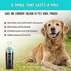 Premium Pet Dental Spray (Large - 8oz): Eliminate Bad Dog Breath & Bad Cat Breath! Fights Plaque, Tartar & Gum Disease Without Brushing! Add to Water! Digestive Aid!