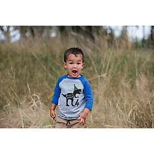 7 ate 9 Apparel Kid's Four 4 Fourth 4th Dinosaur Birthday Dino Blue Raglan Tee 4T