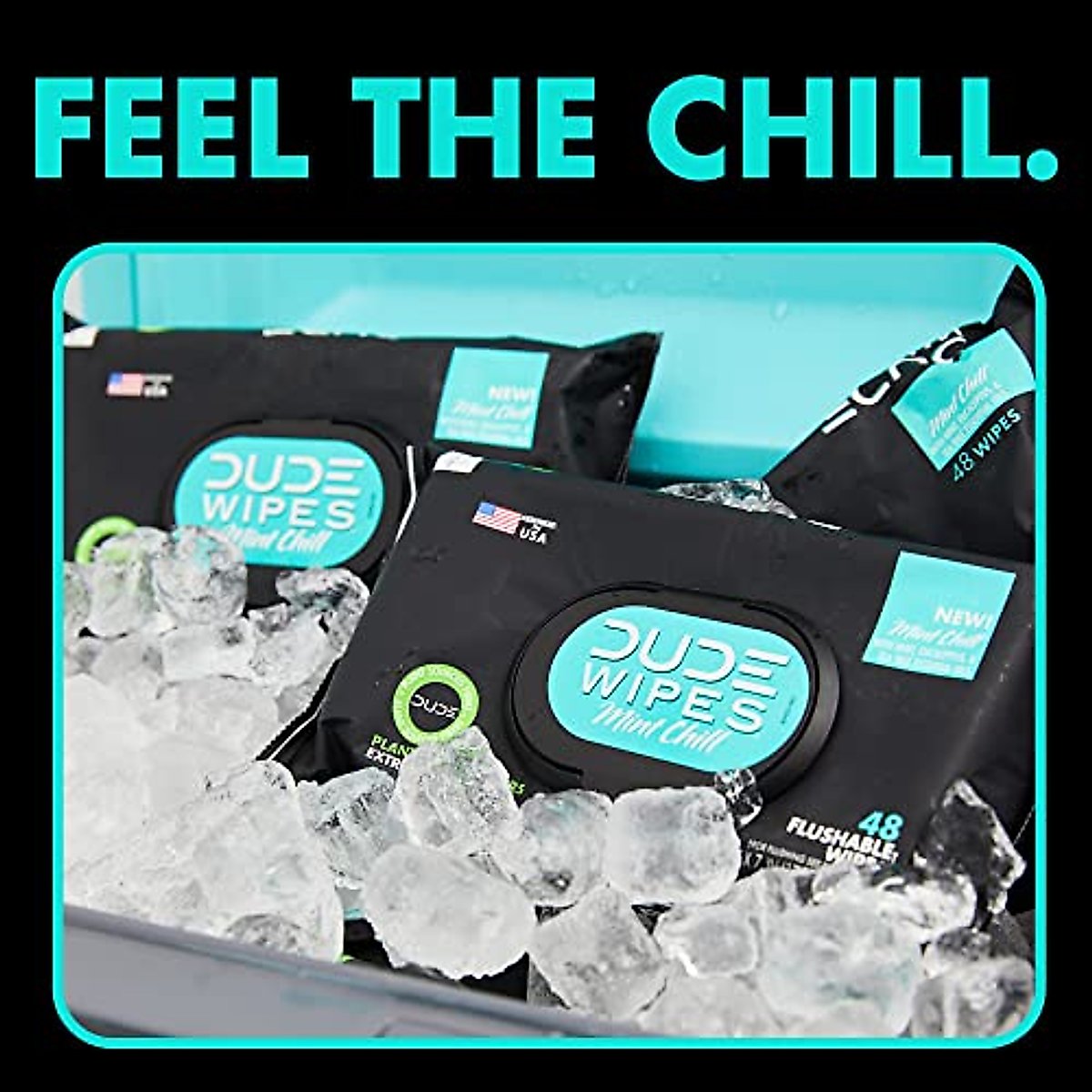 DUDE Wipes Flushable Wipes - 6 Pack, 288 Wipes - Mint Chill Extra-Large Wet Wipes with Eucalyptus & Tea Tree Oil - Septic and Sewer Safe