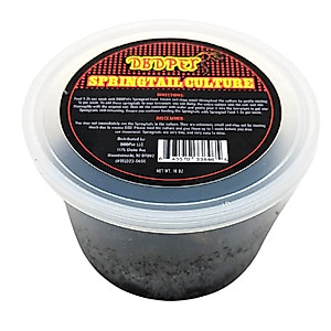 DBDPet Live Springtail Cultures - Great for Terrariums, Vivariums, and More - Microfauna for Bioactive Reptile & Amphibian Cages (Soil Culture)