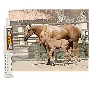 UltraCruz sc-516041 Equine Electrolyte Supplement for Horses, 60 ml, Paste