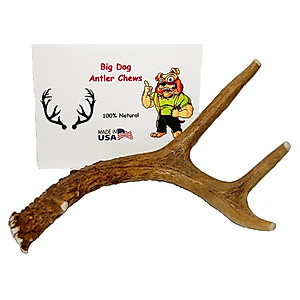 Small Whole Deer Antler Dog Chew, For Small to Medium Size Dogs and Puppies - 6 to 11 Inches Long - Big Dog Antler Chews Brand